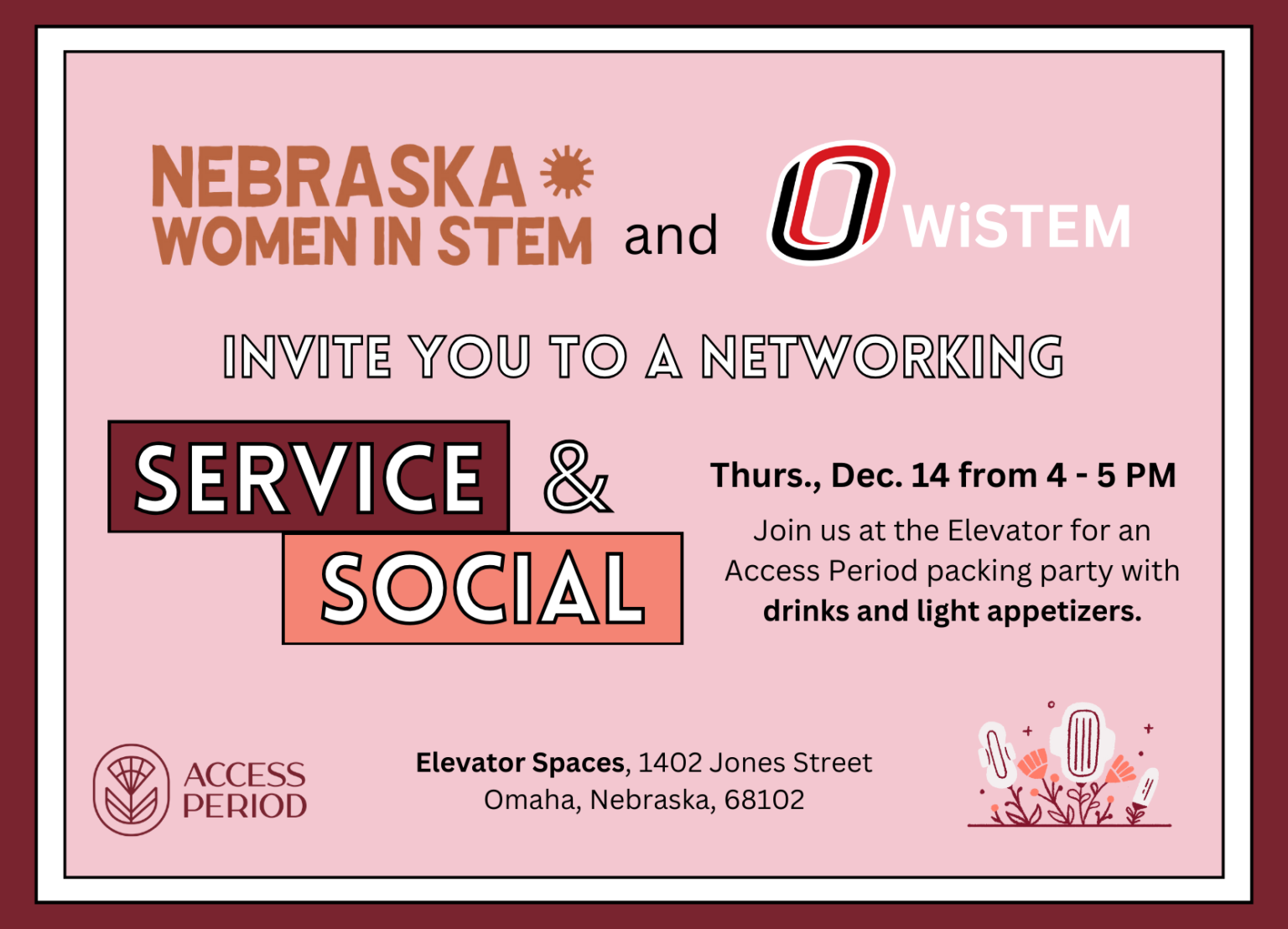 Service & Social for Access period – Nebraska Women in Stem
